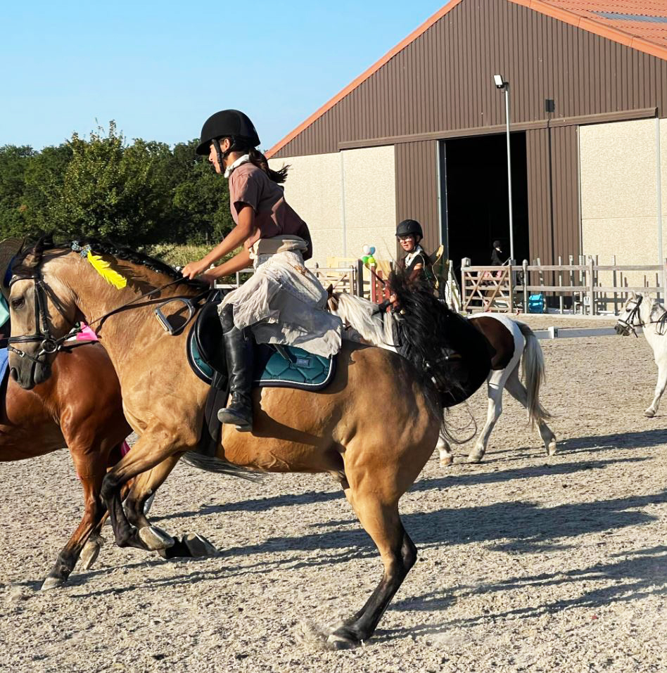 W-Stables | Wuustwezel