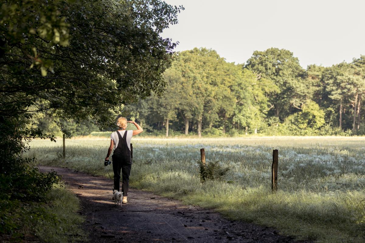 De 9 favoriete wandelingen van de dienst toerisme | Wuustwezel